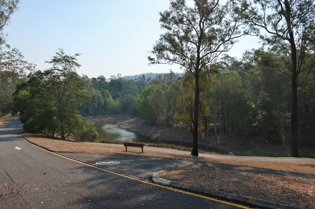 Review: Mount Coo-Tha Lookout Trail Hike (Brisbane, Australia) – Dania ...