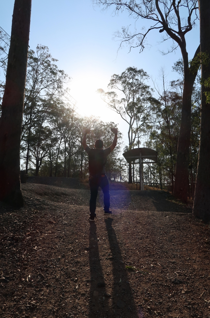 Review: Mount Coo-Tha Lookout Trail Hike (Brisbane, Australia) – Dania ...