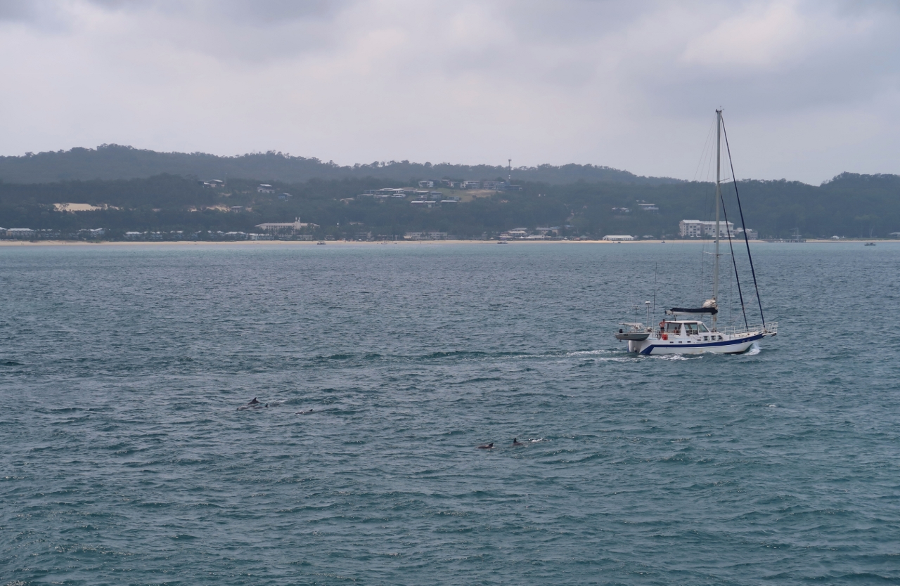 Review: Moreton Island Get Wrecked 1-Day Tour (Brisbane, Australia ...