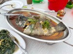 Review: Kelong Baba Restaurant By Kelong Shangrila Tj. Pinang, Kompleks ...